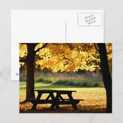 Fall picnic postcard | Zazzle