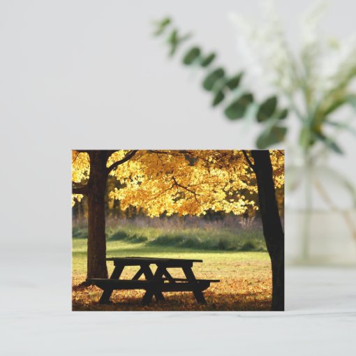 Fall picnic postcard | Zazzle