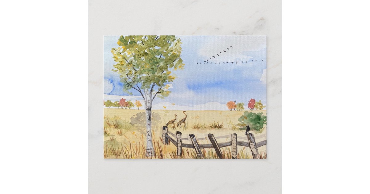 fall postcard | Zazzle