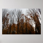 Standing Tall Poster | Zazzle.com