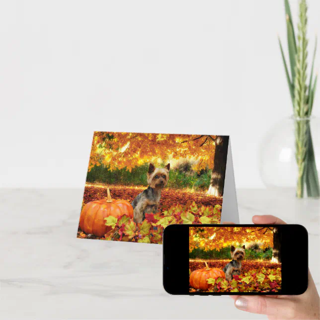 Fall Thanksgiving — Tucker — Yorkie Holiday Card | Zazzle