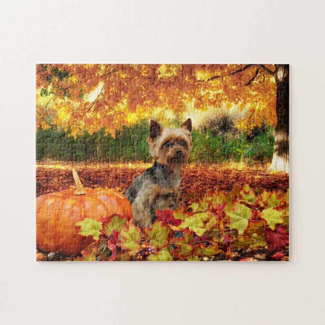 Fall Thanksgiving - Tucker - Yorkie Jigsaw Puzzle | Zazzle
