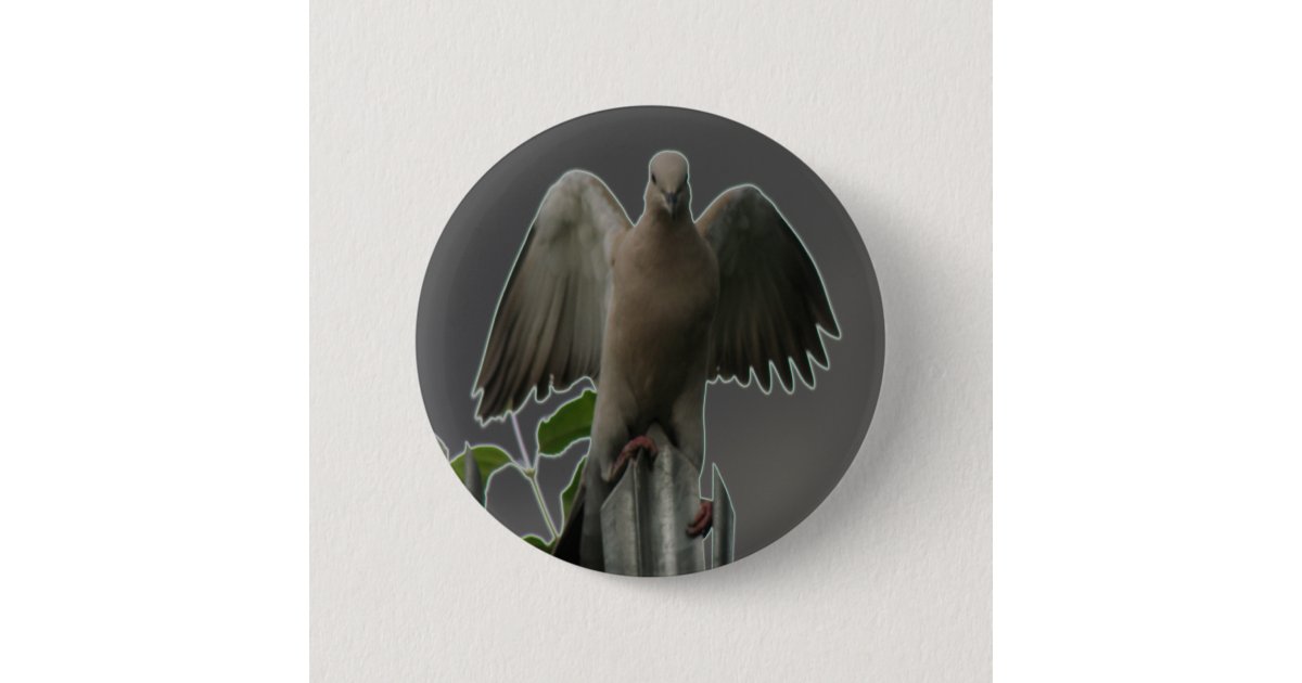 Fallen Angel Dove Button | Zazzle