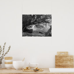 Fallen Tree over Water Poster | Zazzle