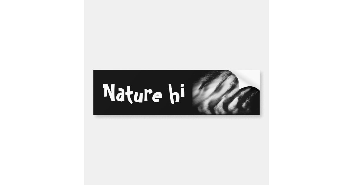 fallen vultures bumper sticker | Zazzle