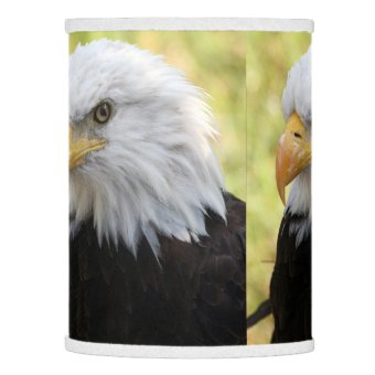 Falln Bald Eagle Liberty Lamp Shade | Zazzle
