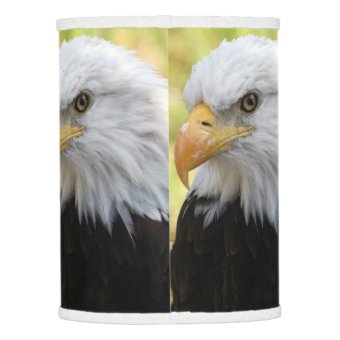 Falln Bald Eagle Liberty Lamp Shade | Zazzle