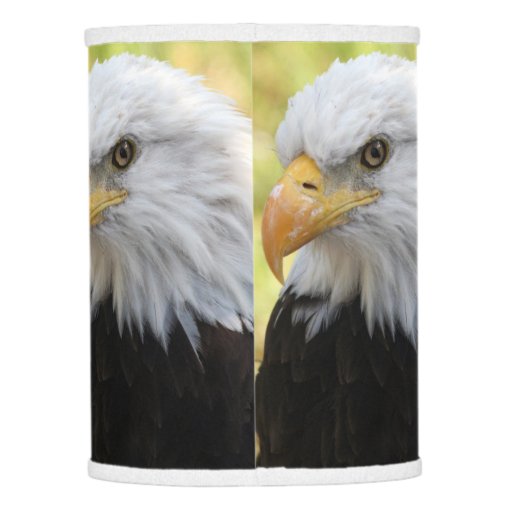 Falln Bald Eagle Liberty Lamp Shade | Zazzle