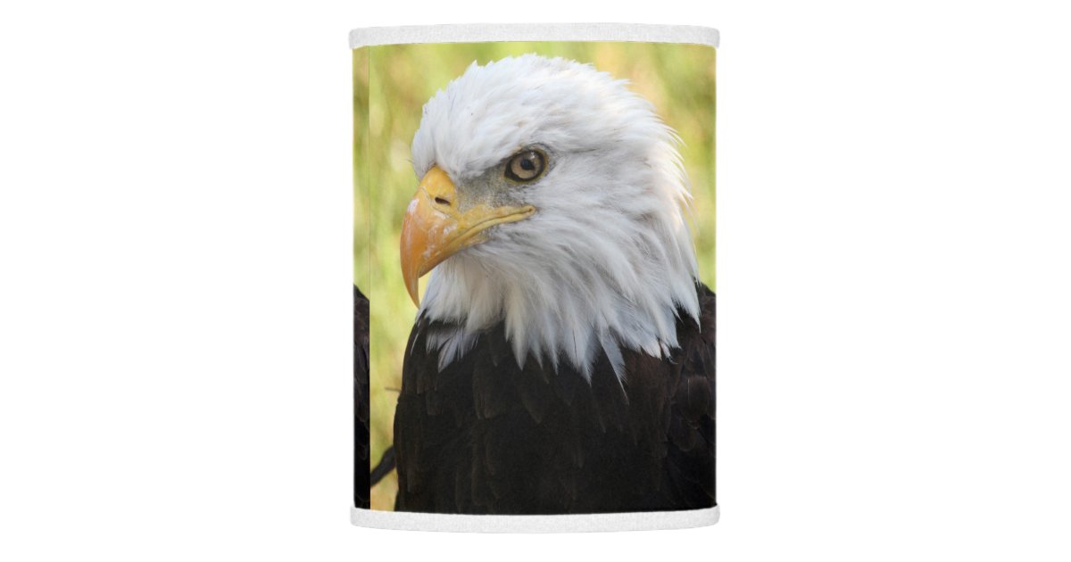 Falln Bald Eagle Liberty Lamp Shade | Zazzle