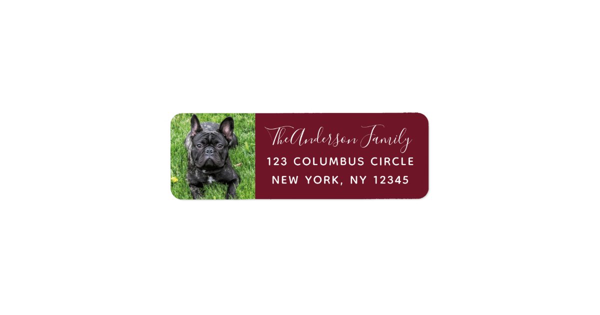 Family Dog Photo Red Custom Return Address Label | Zazzle