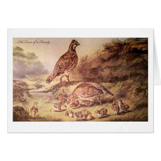 Encouragement / Motivational Greeting Card | Zazzle.com