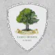 Family Reunion Keepsake Name Genealogy Patch | Zazzle