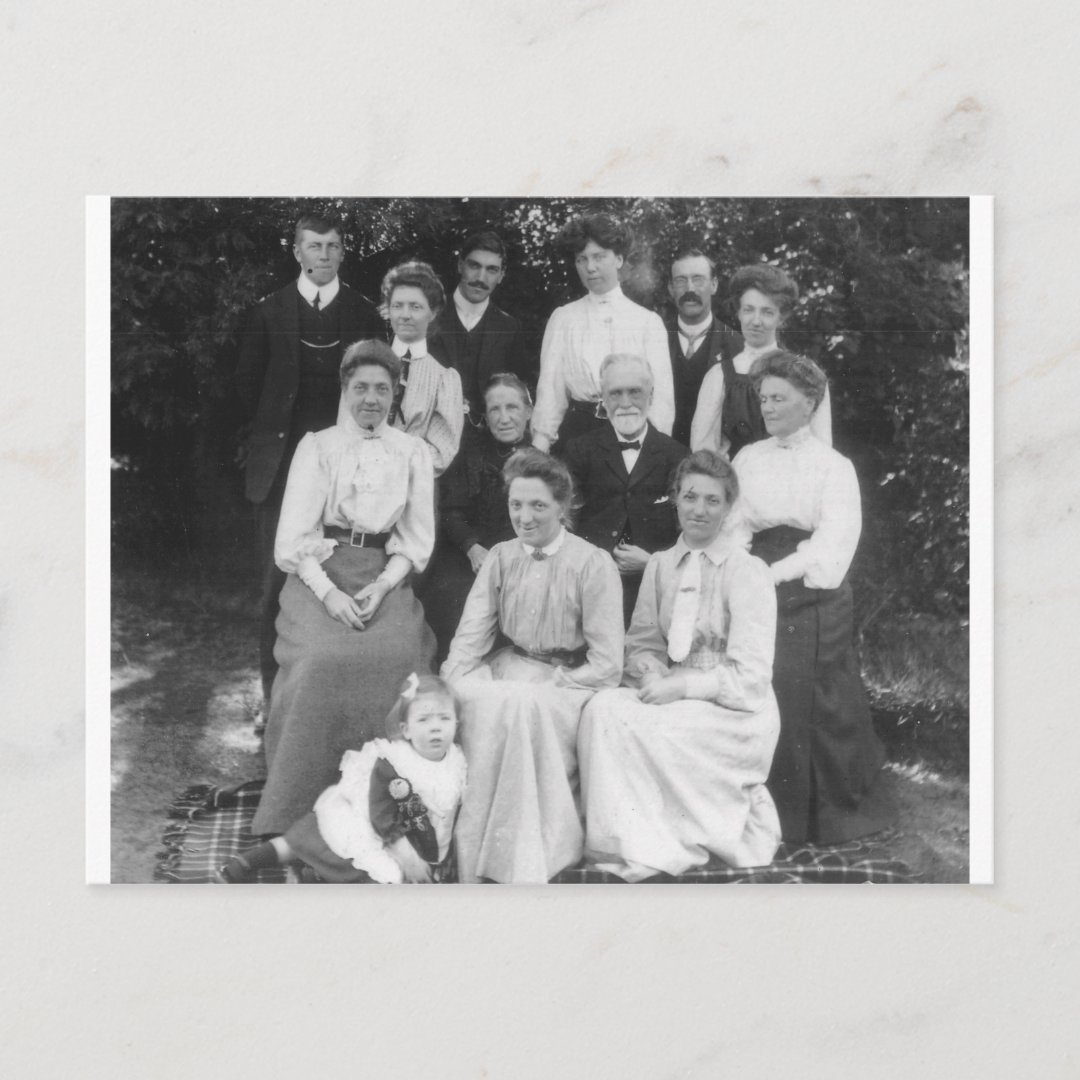family reunion postcard | Zazzle