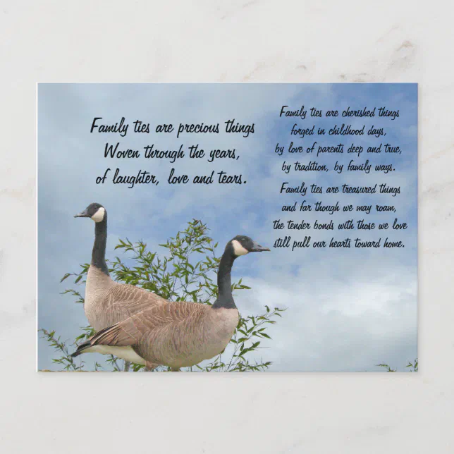 Family Ties Postcard | Zazzle