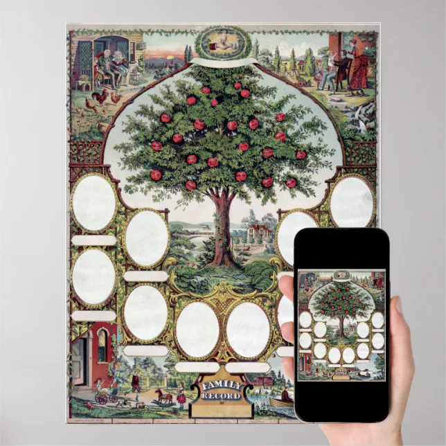 Family Tree Poster | Zazzle