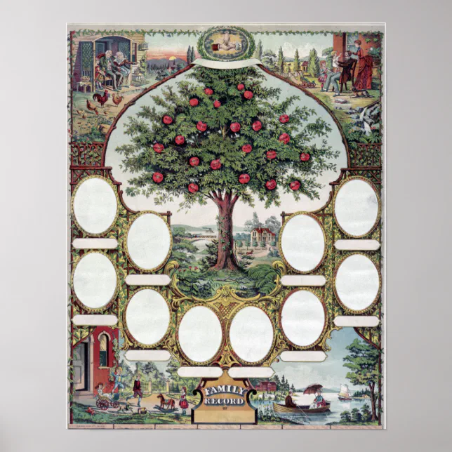 Family Tree Poster | Zazzle