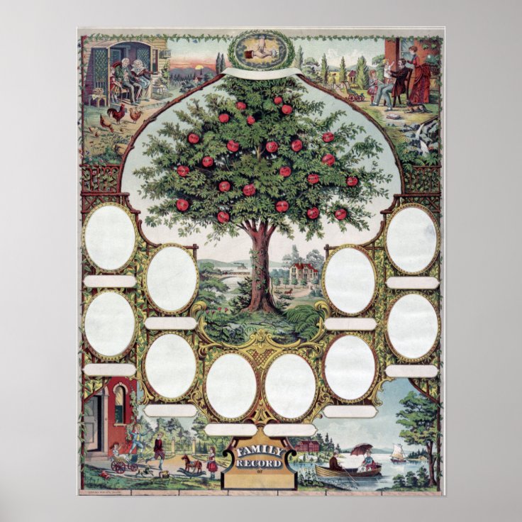 Family Tree Poster | Zazzle