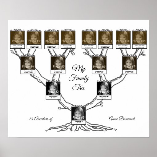 Family Tree with 15 Persons Custom Photo and Text Poster | Zazzle