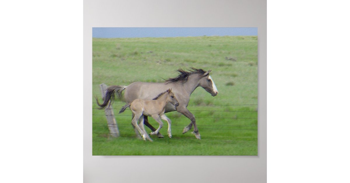FamilyRun Poster | Zazzle