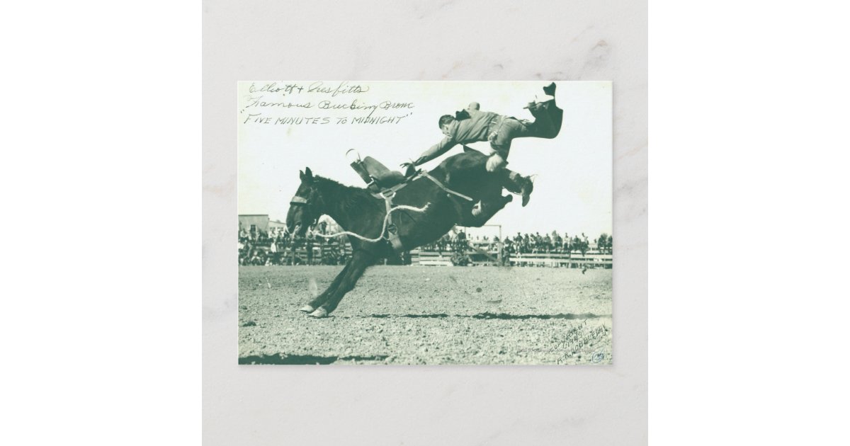 Famous Bucking Bronc Five Minutes Postcard | Zazzle