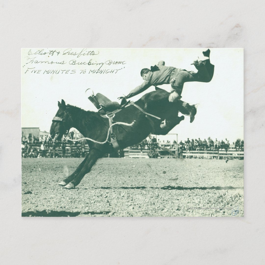 Famous Bucking Bronc Five Minutes Postcard | Zazzle