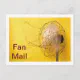 Fan Mail Postcard | Zazzle