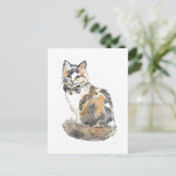 Fancy Calico Cat Postcard | Zazzle