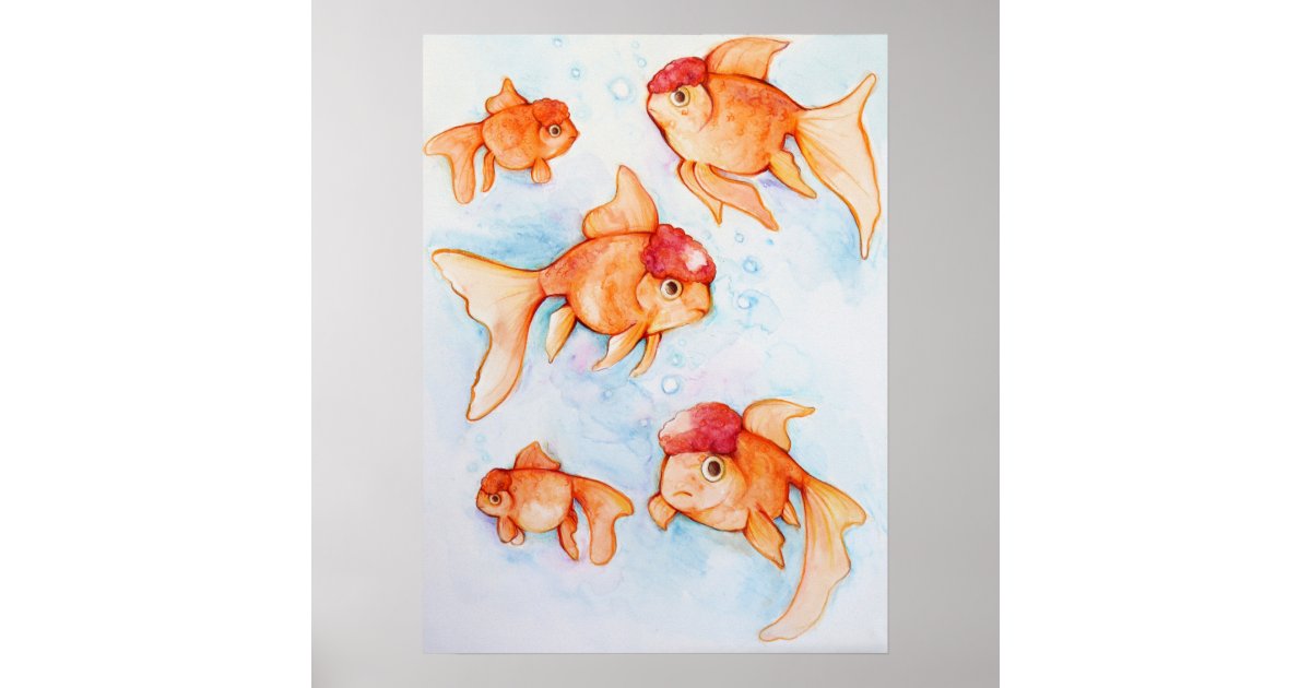 Fancy Oranda Goldfish Poster | Zazzle