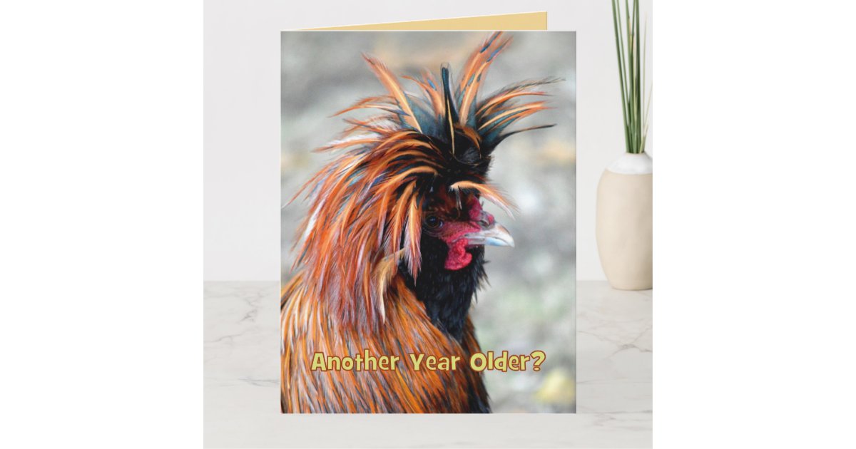 Fancy Rooster Happy Birthday Humor BIG SIZE Card | Zazzle