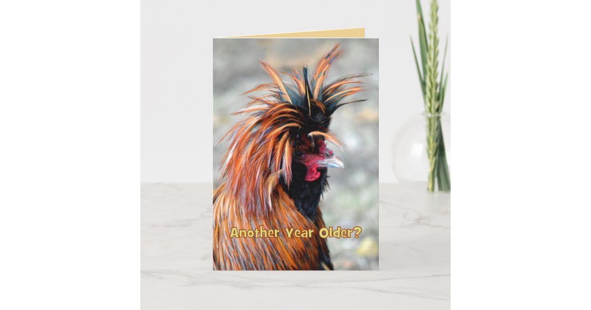 Fancy Rooster Happy Birthday Humor Card | Zazzle