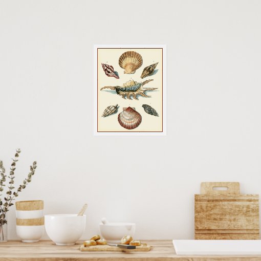 Fancy Shell Beach Poster | Zazzle
