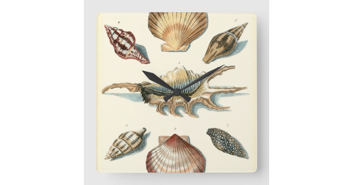 Fancy Shell Beach Square Wall Clock | Zazzle