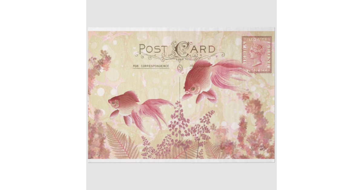 Fantail Goldfish Postcard Ephemera Decoupage Tissu Tissue Paper | Zazzle
