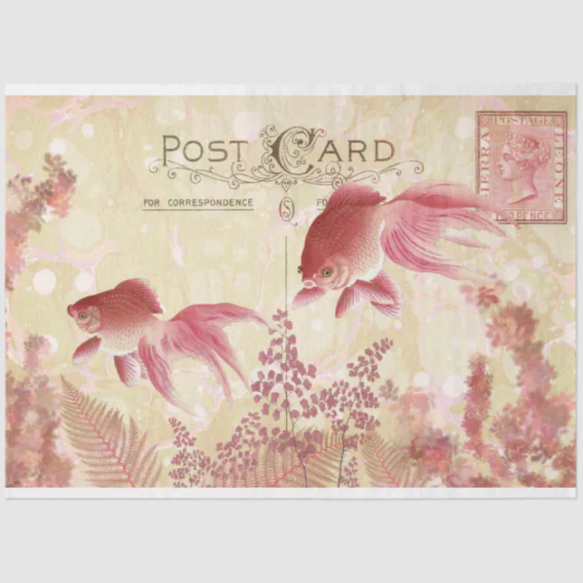 Fantail Goldfish Postcard Ephemera Decoupage Tissu Tissue Paper | Zazzle