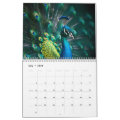 Fantasy Peacocks Calendar | Zazzle