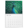 Fantasy Peacocks Calendar | Zazzle