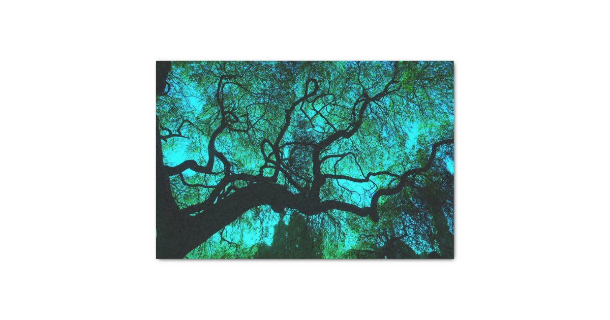 Fantasy Turquoise Tree Silhouette Tissue Paper | Zazzle