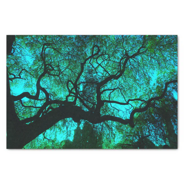 Fantasy Turquoise Tree Silhouette Tissue Paper | Zazzle