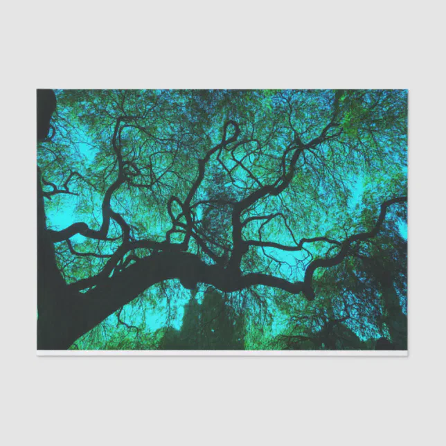 Fantasy Turquoise Tree Silhouette Tissue Paper | Zazzle