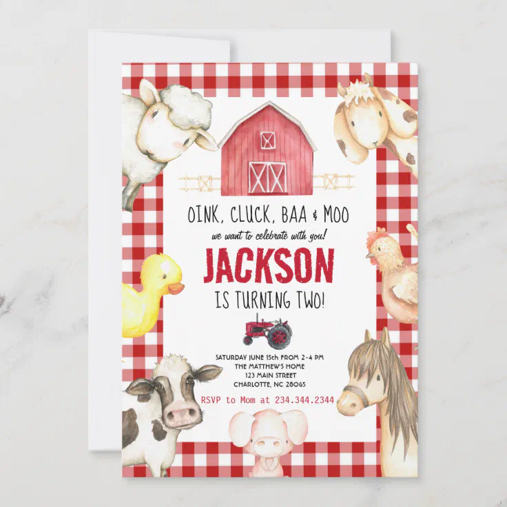 Farm Animals Boy Red Gingham Barnyard Birthday Inv Invitation | Zazzle