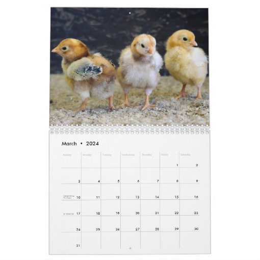 Farm Animals Calendar | Zazzle