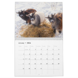 Farm Animals Calendar | Zazzle