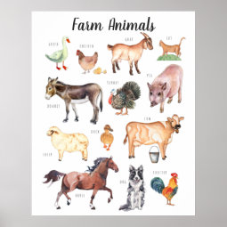 Farm Animals | Education Learning Classroom Poster | Zazzle