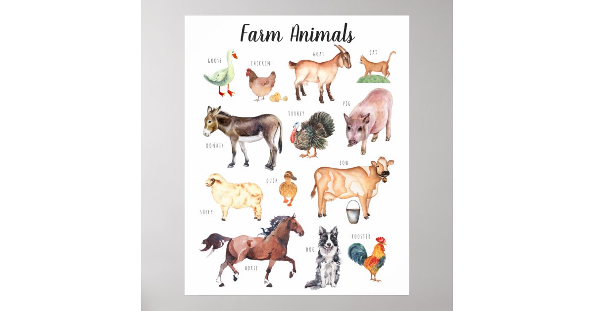 Farm Animals | Education Learning Classroom Poster | Zazzle