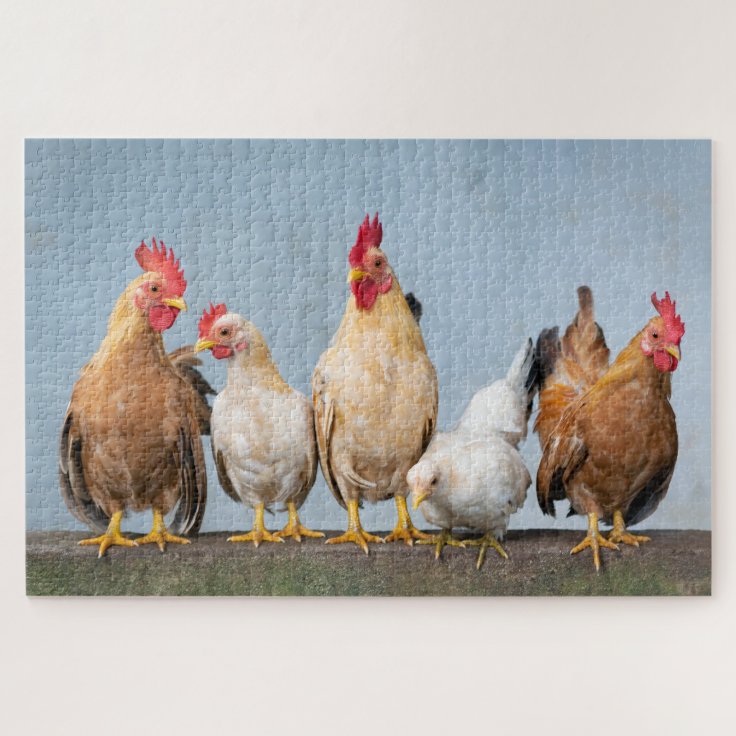 Farm Chickens Roosters Nature Animals Cute Jigsaw Puzzle | Zazzle