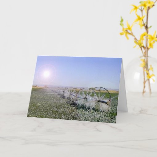 Farm Field Sympathy Card | Zazzle