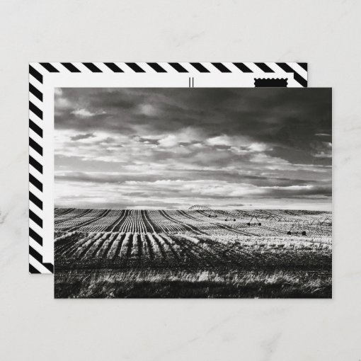 farm fields postcard | Zazzle