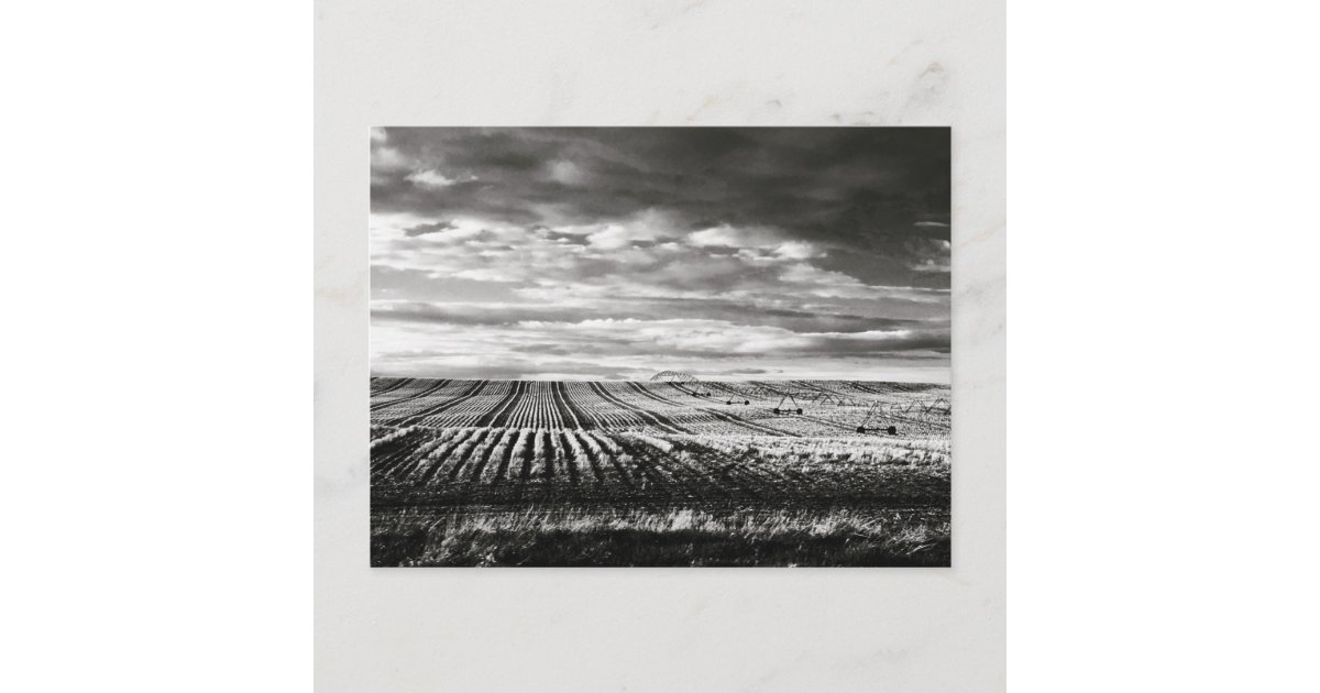 farm fields postcard | Zazzle