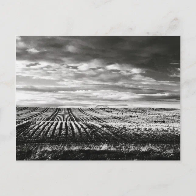 farm fields postcard | Zazzle