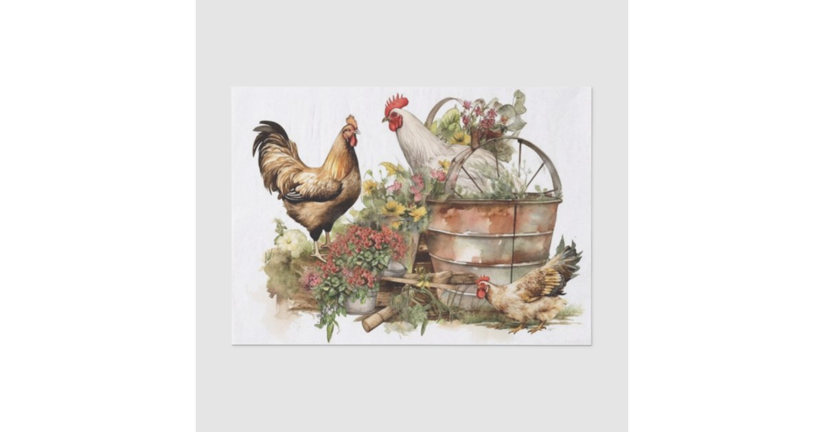 Farm Fresh Chicken Tissue Paper | Zazzle